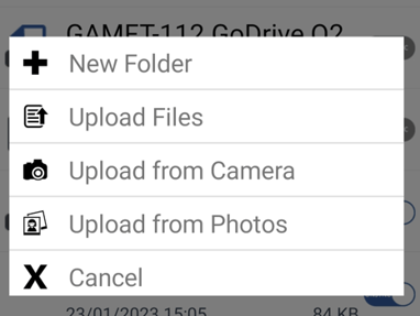 Getting Started with GoDrive